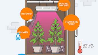 Top 3 Best Micro Grow Setup (2020 Reviews) - 420 Big Bud