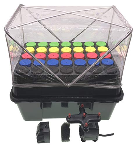 Marijuana Clones for Sale Near Me: Find your nearest Marijuana clones ...