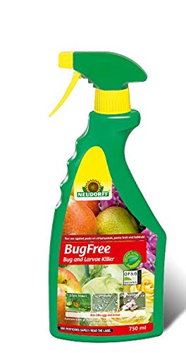 How to get rid of thrips: 11 way to kill thrips on plants (Updated for ...