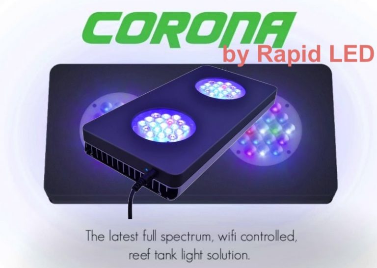 Rapid LED Review 2021: Best USA Designed LED Packages That Ship ...