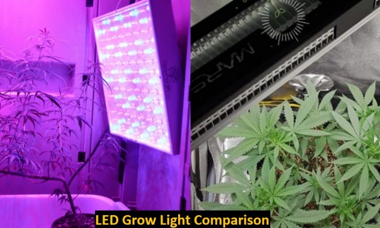 LED Grow Light Comparison: How can I compare different led grow lights? (Review 2021) - 420 Big Bud