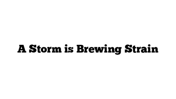A Storm is Brewing: Understanding the Meaning and Usage of the Idiom ...