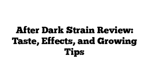 After Dark Strain Review: Taste, Effects, and Growing Tips – 420 Big Bud