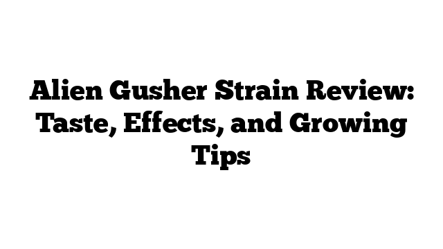 Alien Gusher Strain Review: Taste, Effects, and Growing Tips – 420 Big Bud