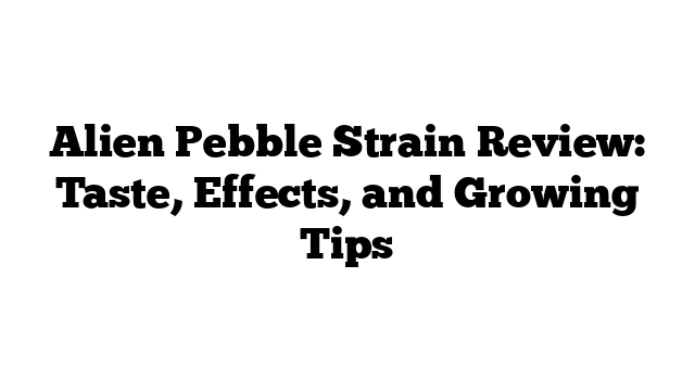 Alien Pebble Strain Review: Taste, Effects, and Growing Tips – 420 Big Bud