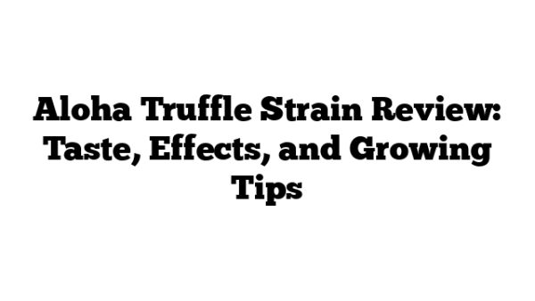 Aloha Truffle Strain Review: Taste, Effects, and Growing Tips – 420 Big Bud
