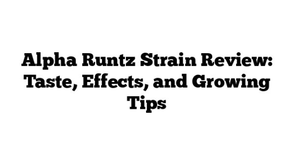 Alpha Runtz Strain Review: Taste, Effects, and Growing Tips – 420BB ...