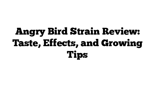 Angry Bird Strain Review: Taste, Effects, and Growing Tips – 420 Big Bud