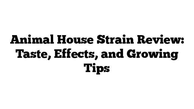 Animal House Strain Review: Taste, Effects, and Growing Tips – 420BB ...