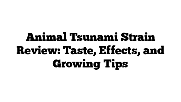Animal Tsunami Strain Review: Taste, Effects, and Growing Tips – 420BB ...