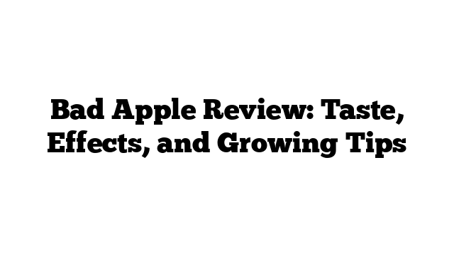 Bad Apple Strain Review: Taste, Effects, and Growing Tips – 420 Big Bud