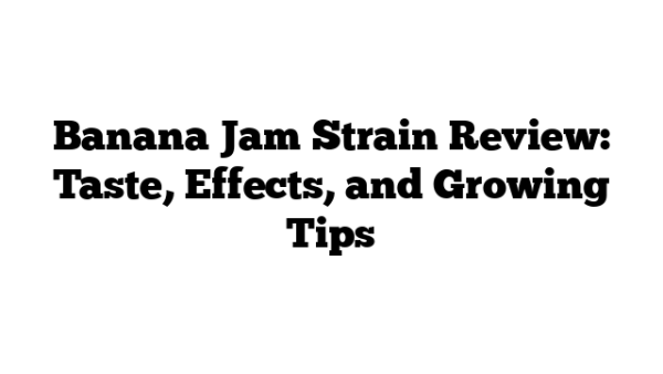 The Banana Jam Strain: A Delightful Combination of Taste, Effects, and ...
