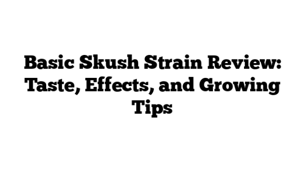 Basic Skush Strain Review: Taste, Effects, and Growing Tips – 420 Big Bud
