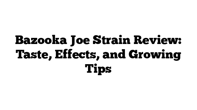 Bazooka Joe Strain Review: Taste, Effects, and Growing Tips – 420 Big Bud