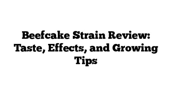 Beefcake Strain Review: Taste, Effects, and Growing Tips – 420BB ...