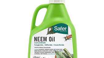 Best Safest Neem Oil – 420BB: Premium Pipes & Bongs