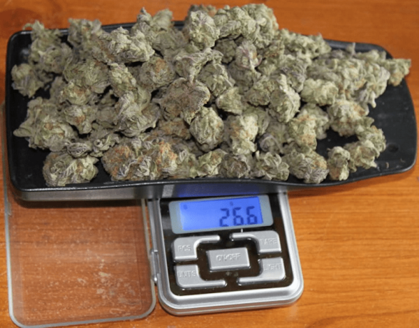Best Weed Scale – 420BB: Premium Pipes & Bongs