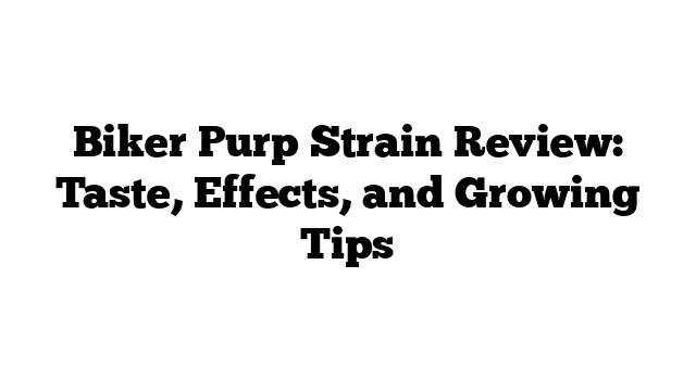 Biker Purp Strain Review: Taste, Effects, and Growing Tips – 420 Big Bud