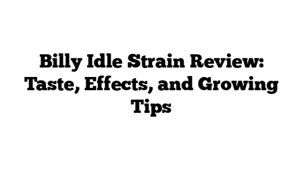 Billy Idle Strain Review: Taste, Effects, and Growing Tips – 420 Big Bud