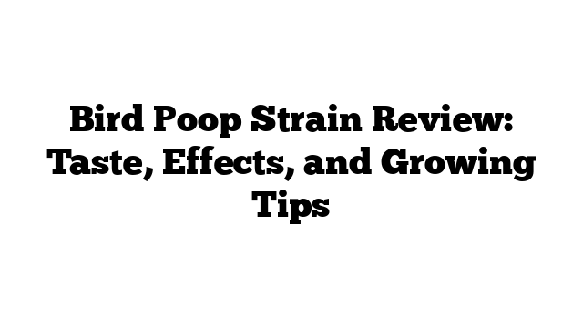 The Science Behind Bird Poop: Why It’s White and How to Remove Stains ...