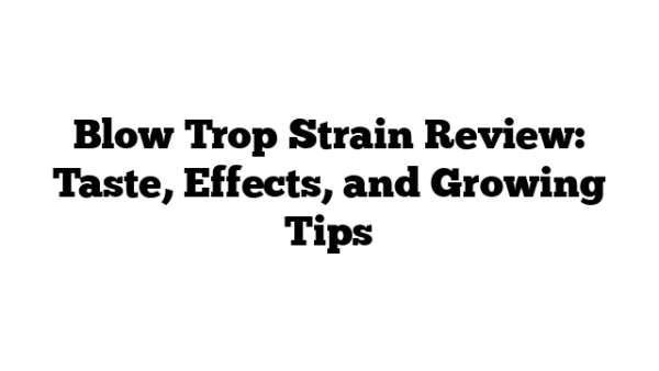Trop Strain Review: Taste, Effects, and Growing Tips – 420 Big Bud
