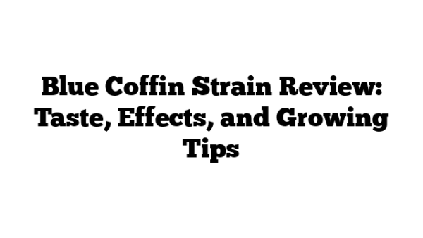 Blue Coffin Strain Review: Taste, Effects, and Growing Tips – 420 Big Bud