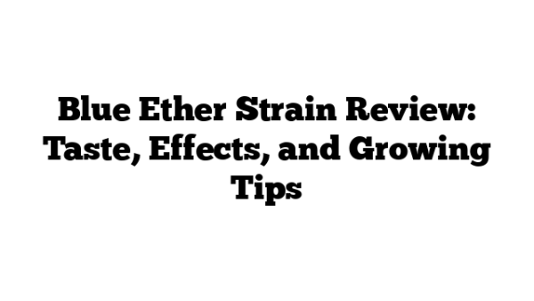 Blue Ether Strain Review: Taste, Effects, and Growing Tips – 420BB ...