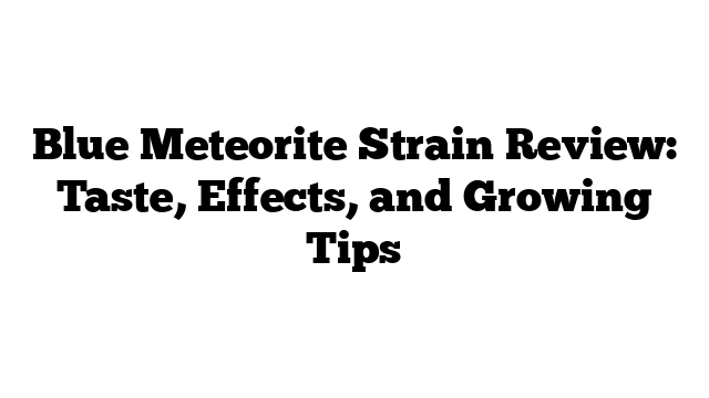 Blue Meteorite Strain Review: Taste, Effects, and Growing Tips – 420 ...