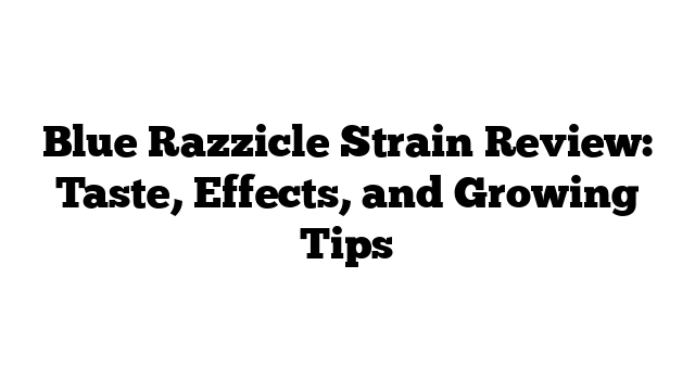 Blue Razzicle Strain Review: Taste, Effects, and Growing Tips – 420 Big Bud