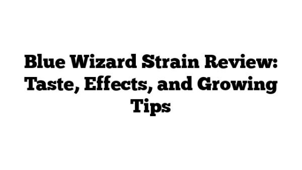 Blue Wizard Strain Review: Taste, Effects, and Growing Tips – 420 Big Bud