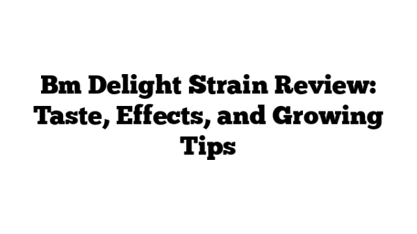 Bm Delight Strain Review: Taste, Effects, and Growing Tips – 420 Big Bud