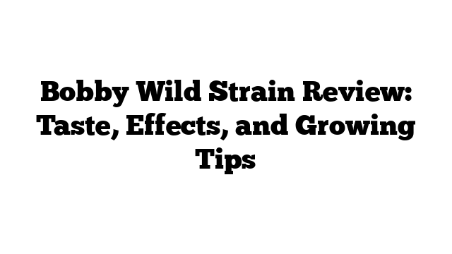 Bobby Wild Strain Review: Taste, Effects, and Growing Tips – 420 Big Bud