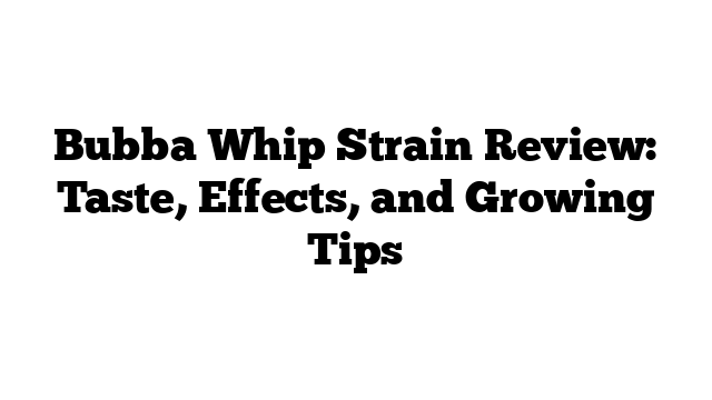 Bubba Whip Strain Review: Taste, Effects, and Growing Tips – 420 Big Bud