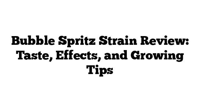 Bubble Spritz Strain Review: Taste, Effects, and Growing Tips – 420 Big Bud