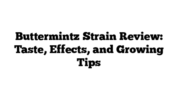 Buttermintz Strain Review: Taste, Effects, and Growing Tips – 420BB ...