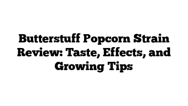 Butterstuff Popcorn Strain Review: Taste, Effects, and Growing Tips ...
