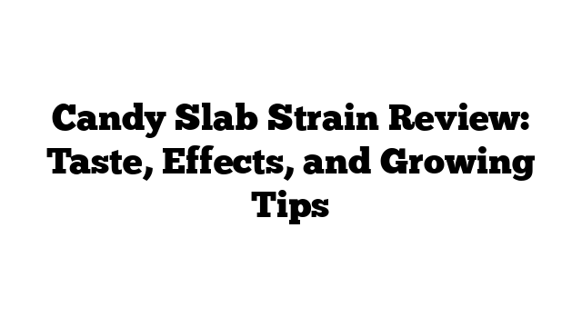 Candy Slab Strain Review: A Sweet Delight for Cannabis Enthusiasts ...
