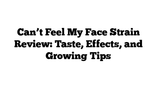 Can’t Feel My Face Strain Review: Taste, Effects, and Growing Tips ...