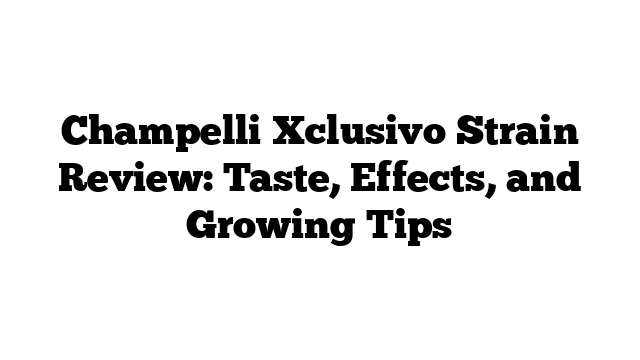 Champelli Xclusivo Strain Review: Taste, Effects, and Growing Tips ...