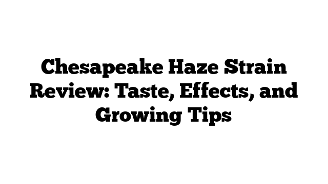 Chesapeake Haze Strain Review: Taste, Effects, and Growing Tips – 420 ...