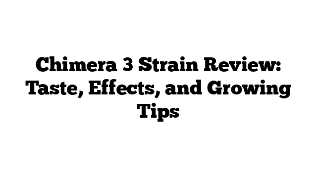 Chimera 3 Strain Review: Taste, Effects, and Growing Tips – 420 Big Bud