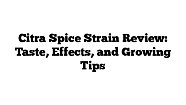 Citra Spice Strain Review: Taste, Effects, and Growing Tips – 420BB ...