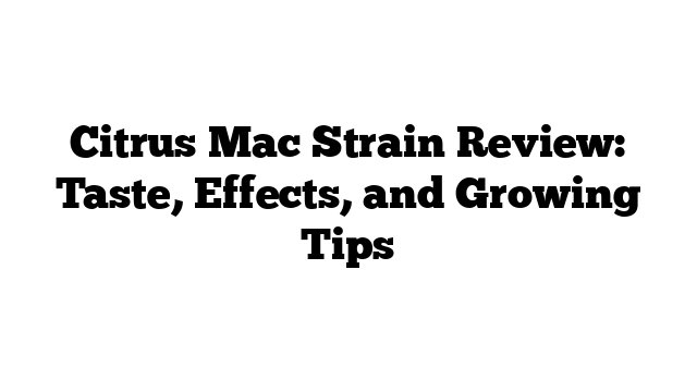 Citrus Mac Strain Review: Taste, Effects, and Growing Tips – 420 Big Bud