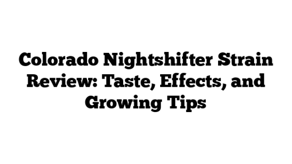 Colorado Nightshifter Strain Review: Taste, Effects, and Growing Tips ...