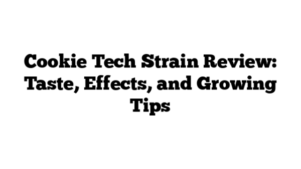 Cookie Tech Strain Review: Taste, Effects, and Growing Tips – 420 Big Bud