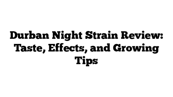 Durban Night Strain Review: Taste, Effects, and Growing Tips – 420BB ...