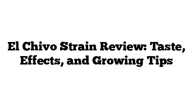 El Chivo Strain Review: Taste, Effects, and Growing Tips – 420 Big Bud
