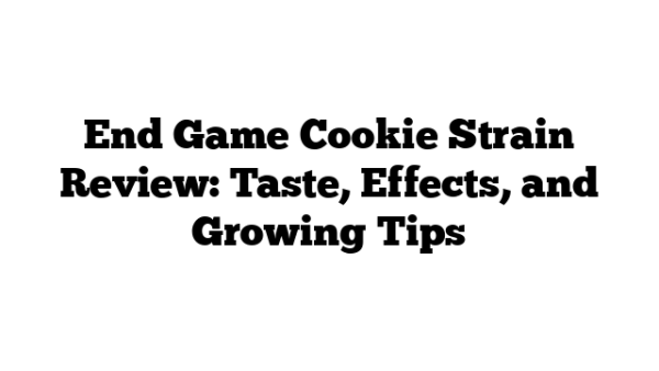 End Game Cookie Strain Review: Taste, Effects, and Growing Tips – 420 ...