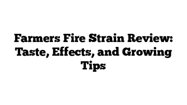 Farmers Fire Strain Review: Taste, Effects, and Growing Tips – 420 Big Bud