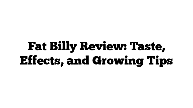 Fat Belly Review: Taste, Effects, and Growing Tips – 420 Big Bud